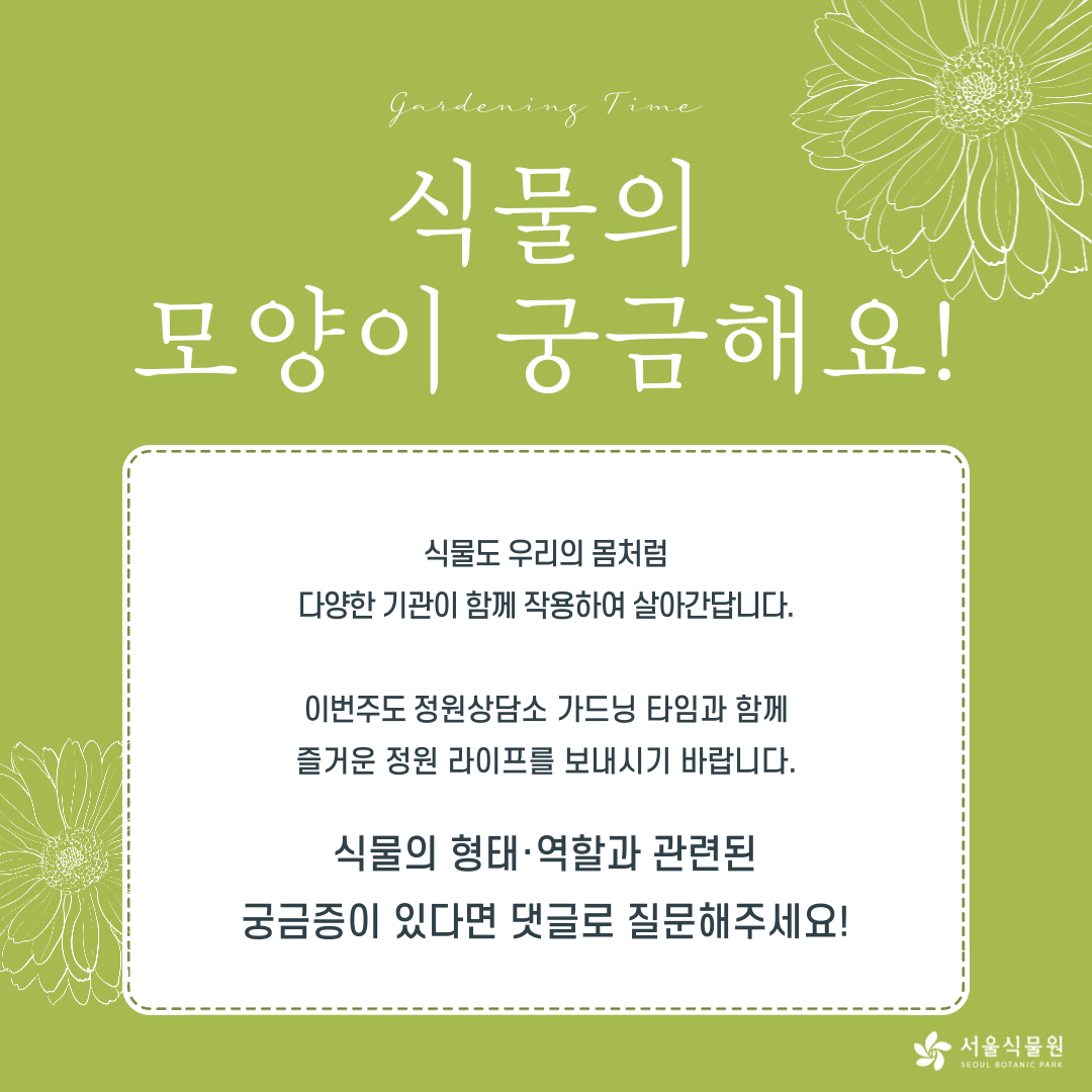 Q77. 식물의 모양이 궁금해요! - 잎편